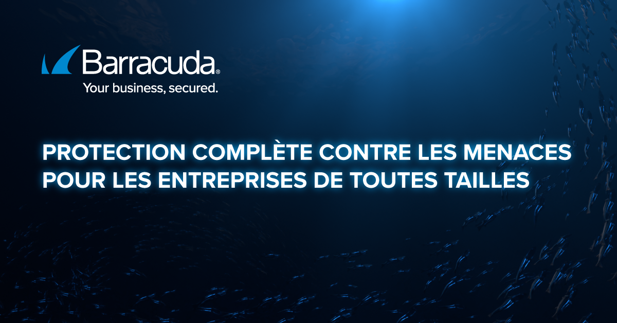 Barracuda SecureEdge Access : Fonctionnalités | Barracuda Networks